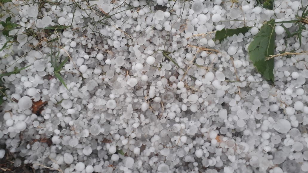 Hail storm strikes parts of north Kashmir, wreck havoc to crops | The ...